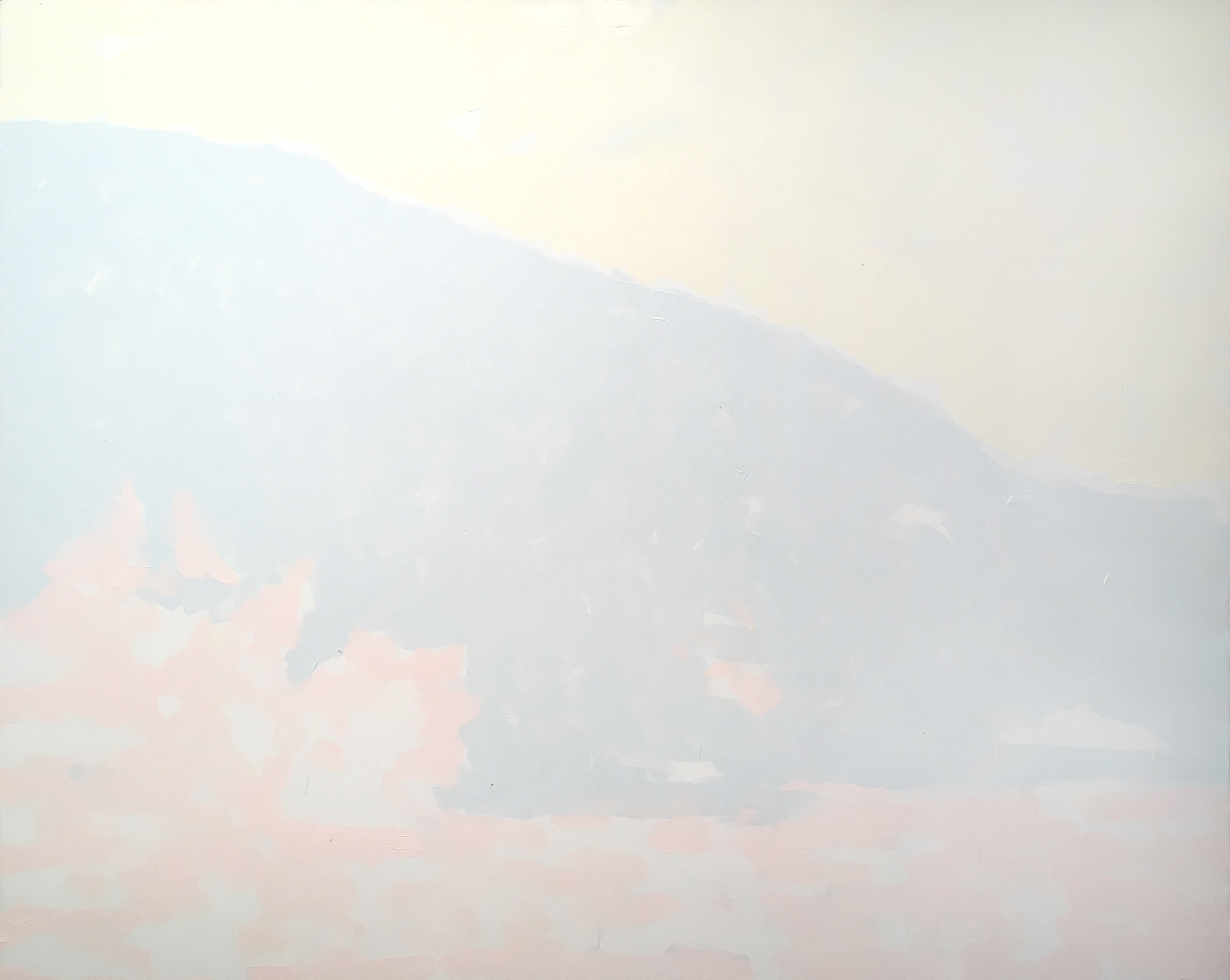 Sandy Walker: paintings